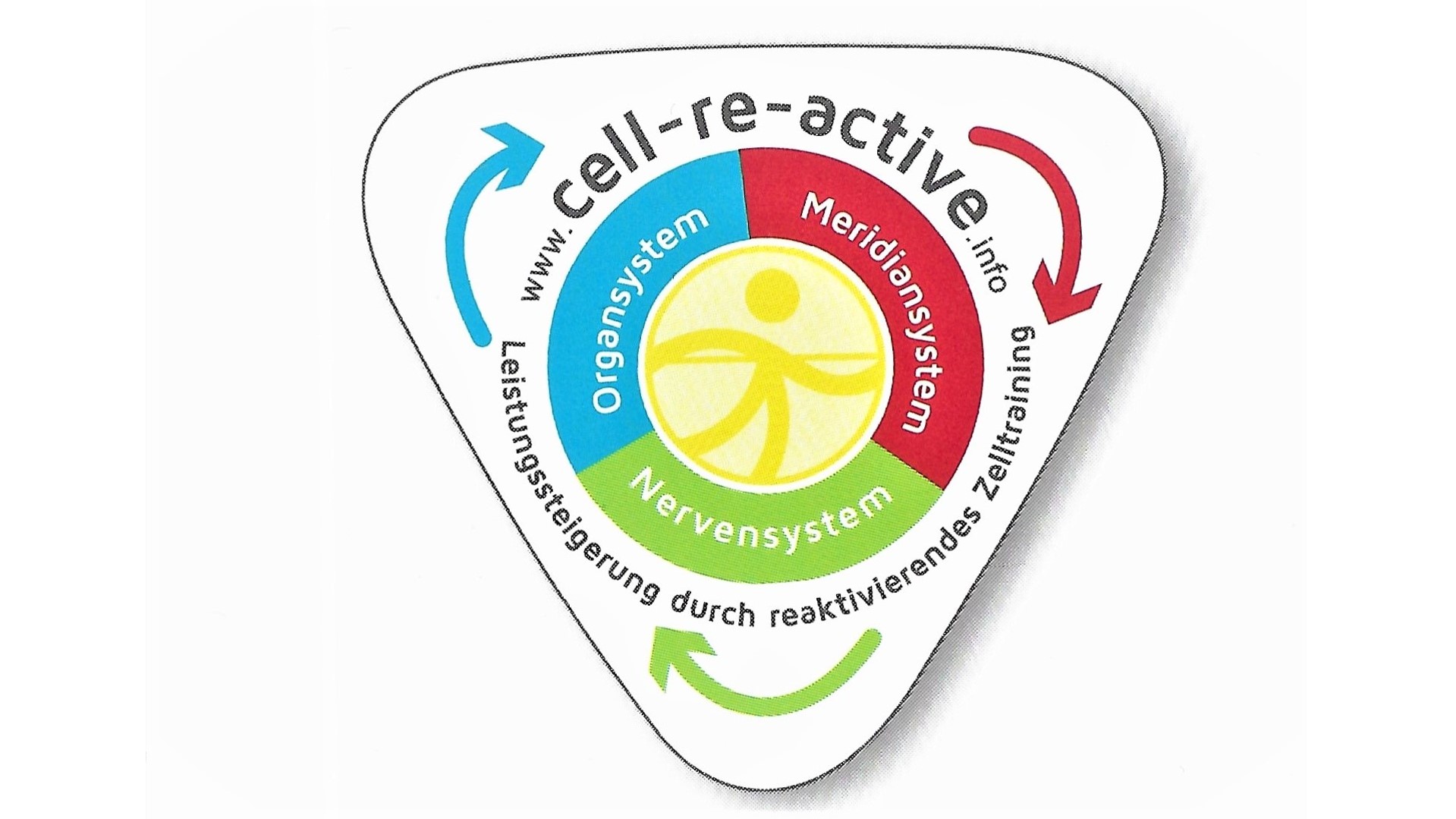 Cell-Re-Active Training, Julietta Wolff, Minden